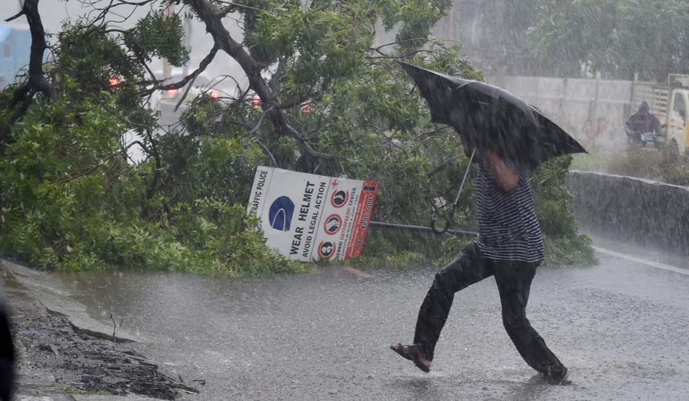 Timely MeT prediction softened Vardah blow