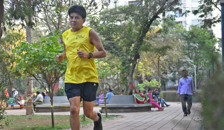 Doc, bot and the rock- The Week