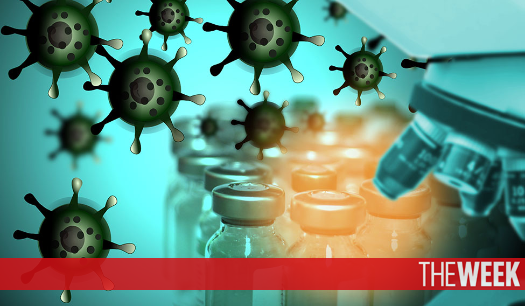 Battle against bacteria