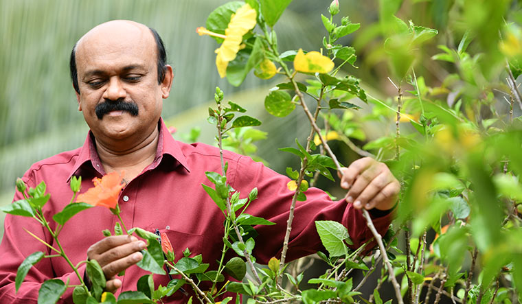 Cutting edge- The Week