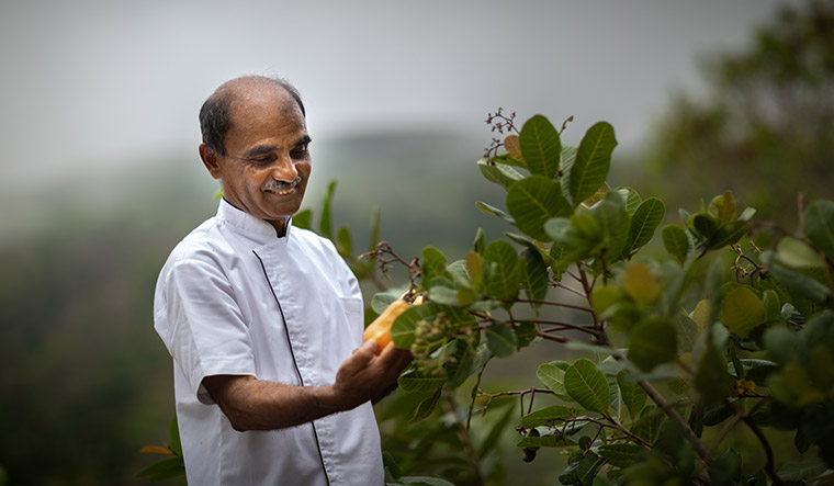 What it means to cook and eat right- The Week