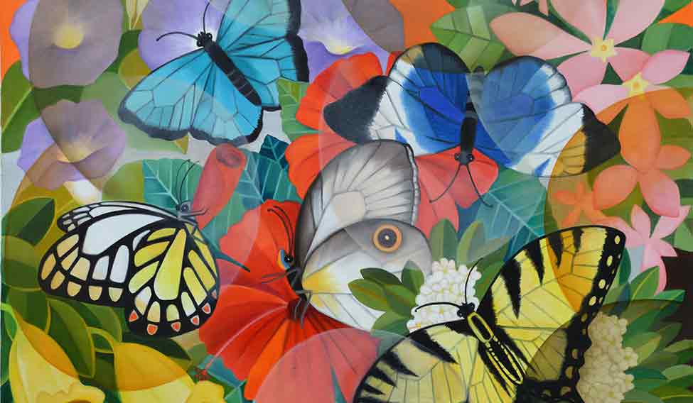 With love, from Sri Lanka