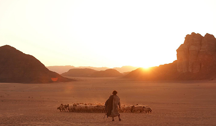 'Prithviraj's commitment gave 'The Goat Life' an unparalleled depth ...