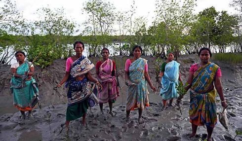 Women are on a mission to restore the Sundarbans- The Week