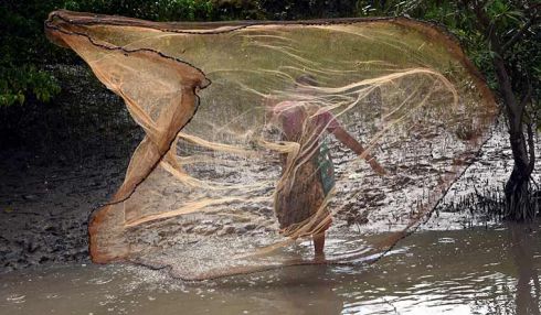 Women are on a mission to restore the Sundarbans- The Week
