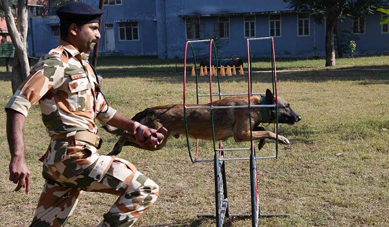 Inside ITBP's 'pawsome' dog training academy- The Week