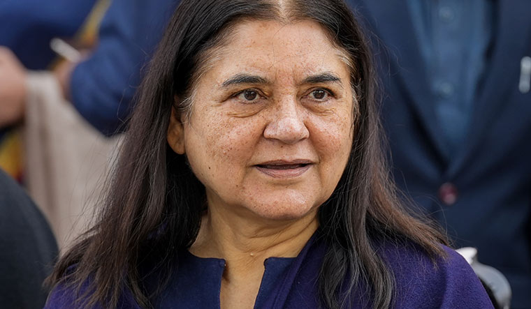 'Killing of dogs never work': Maneka Gandhi- The Week