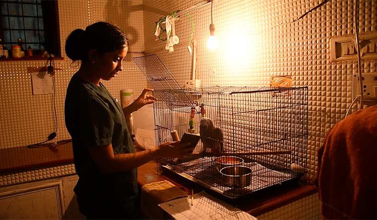 Meet avian veterinarian Rani Maria Thomas whose hospital boasts of ...