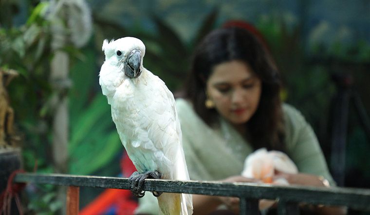 Meet avian veterinarian Rani Maria Thomas whose hospital boasts of ...