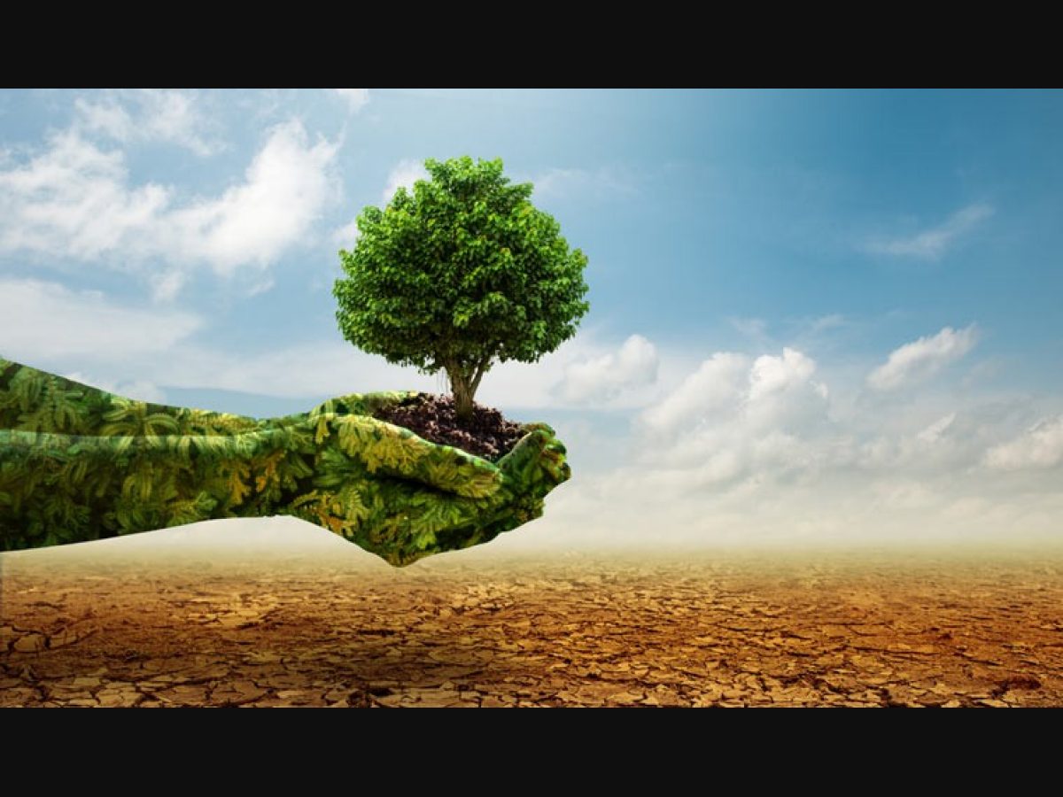 Save Nature Wallpapers