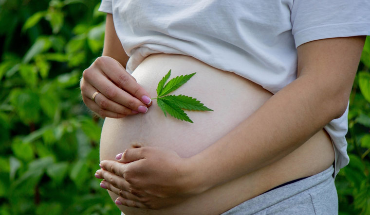 Cannabis use during pregnancy: What you need to know- The Week
