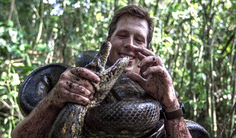 Colossal anaconda's death shocks scientific community- The Week