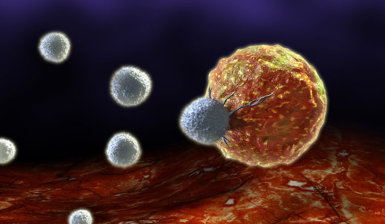 Can Tata Institute's Rs 100 tablet prevent cancer relapse?- The Week