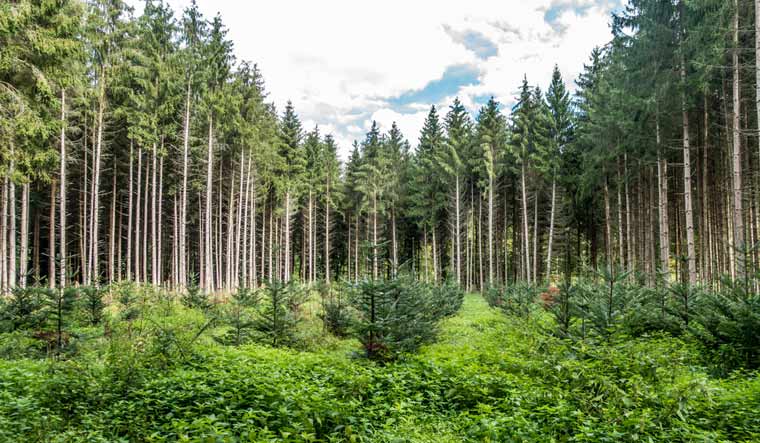 AboitizPower pushing through with LNG plans - TrendRadars