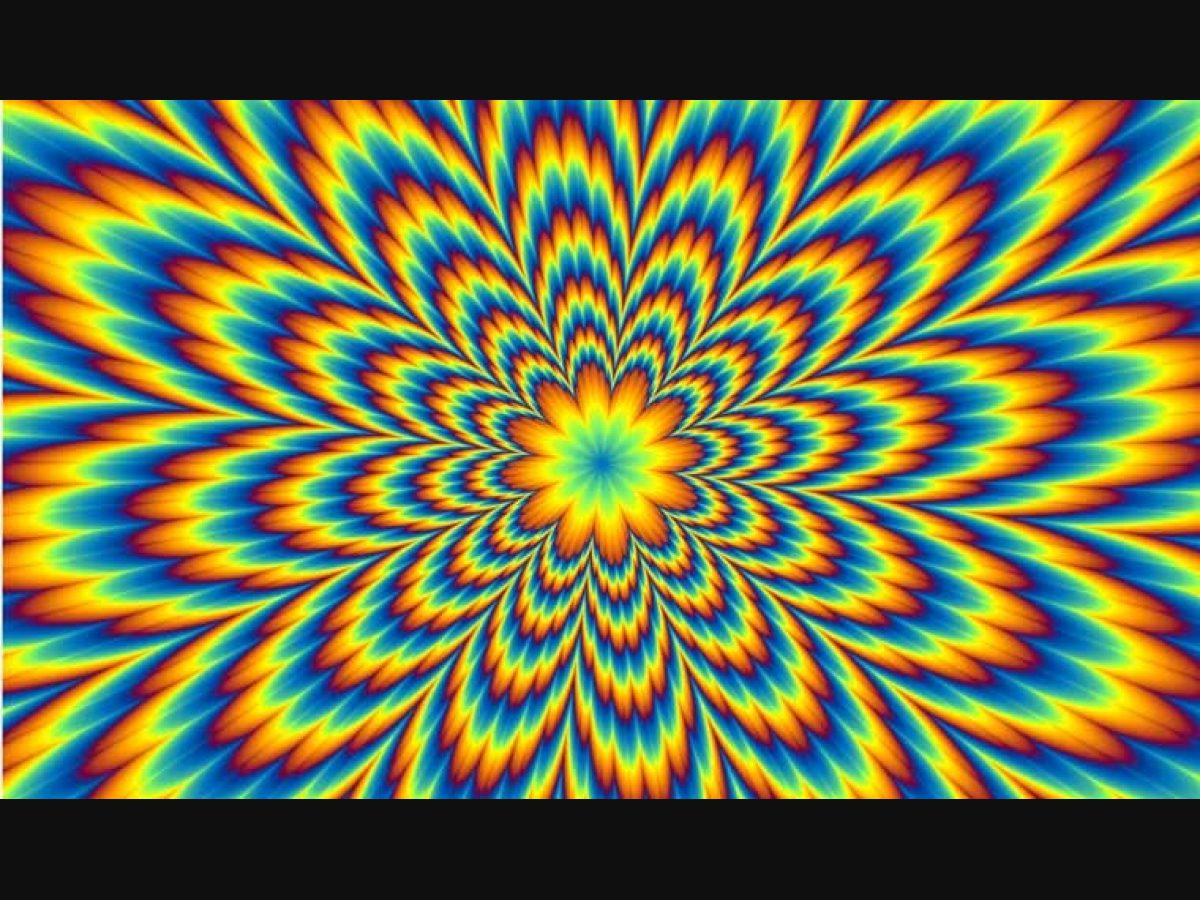 Brain Games Color Illusion