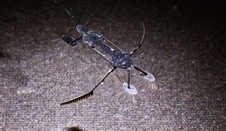 Miniature insect-like robots revolutionise micro-robotics- The Week