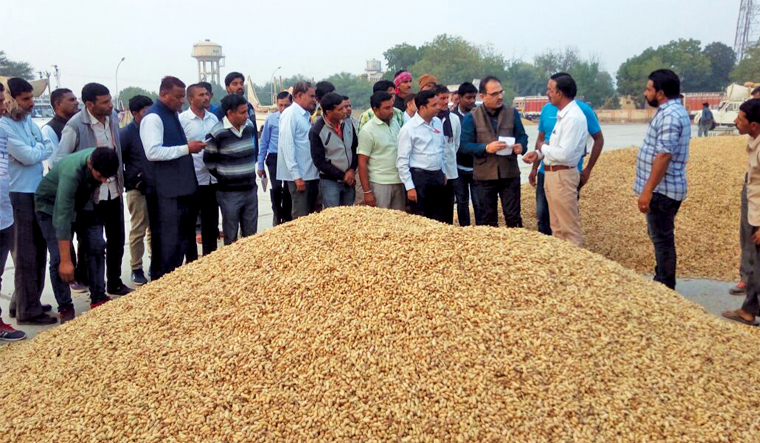 NAFED: Feeding the Nation!- The Week