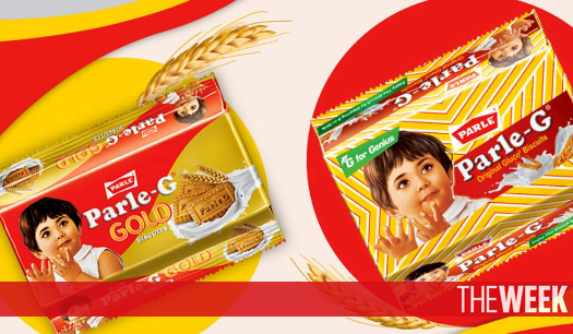 Parle aims to double turnover to Rs 20,000 cr, eyes 'total food' transition