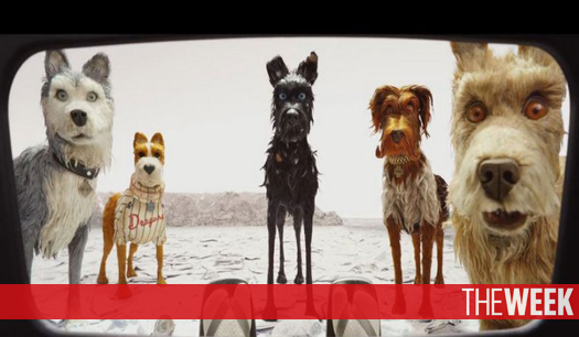 'Isle of Dogs' trailer takes you inside wonderful world of canines