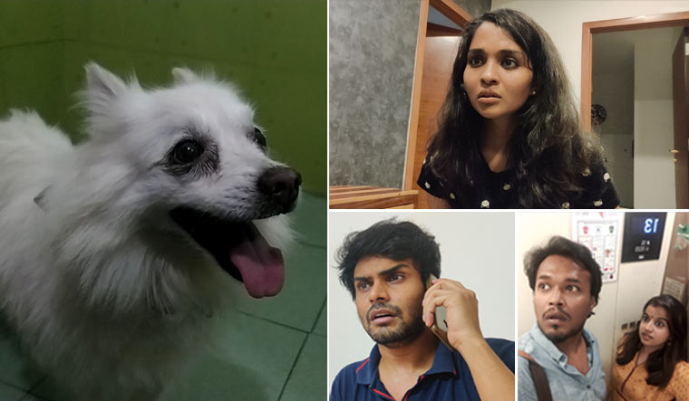 Survival Stories: Here is how these filmmakers made an anthology amid ...