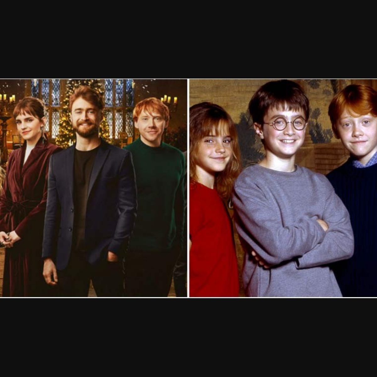 Harry Potter And Friends