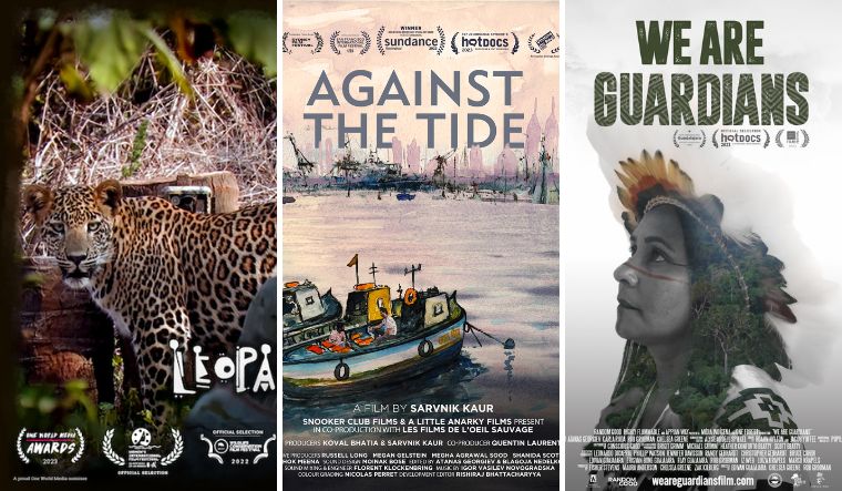 ALT EFF: How India's largest environmental film festival strives to ...