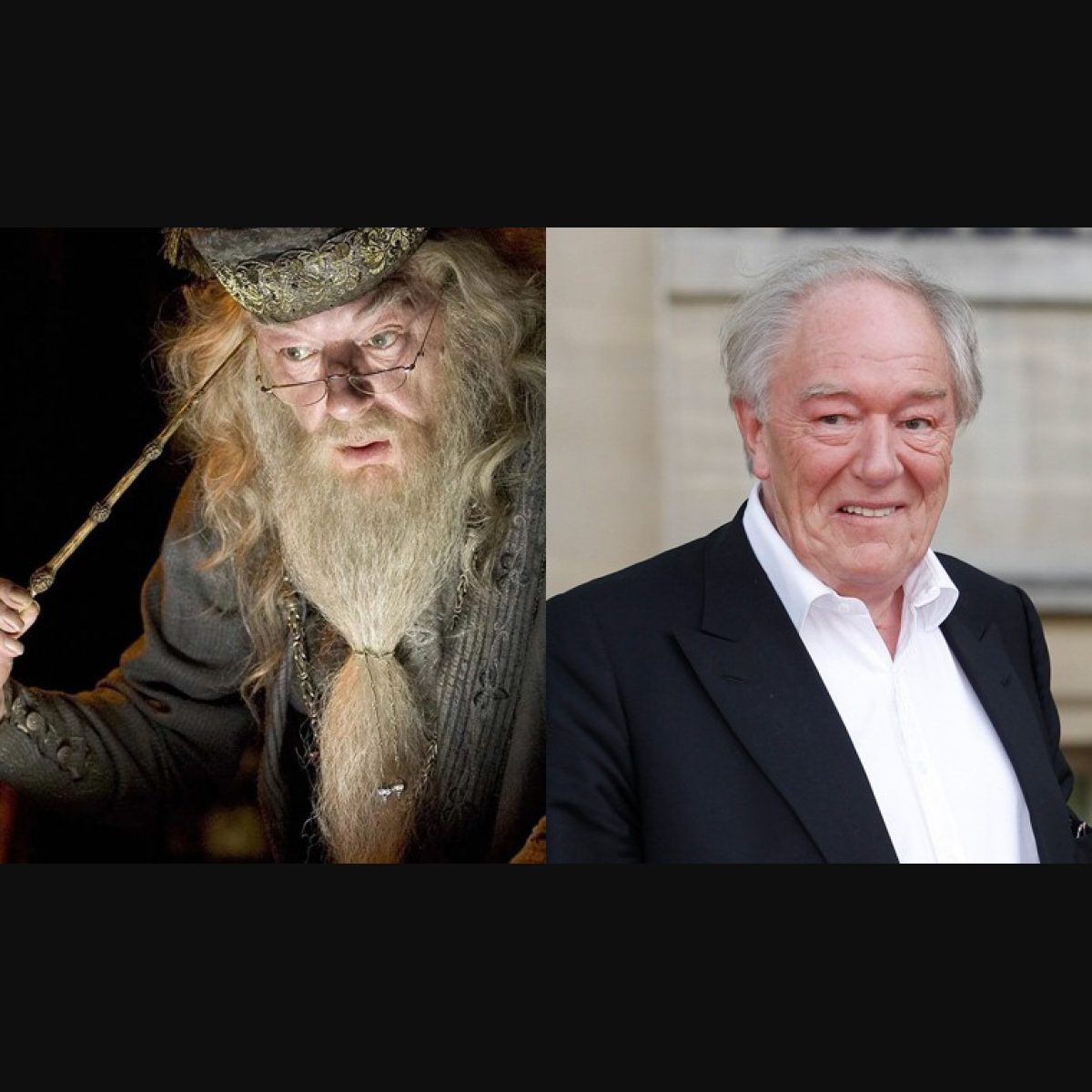 Dumbledore Actor Dies