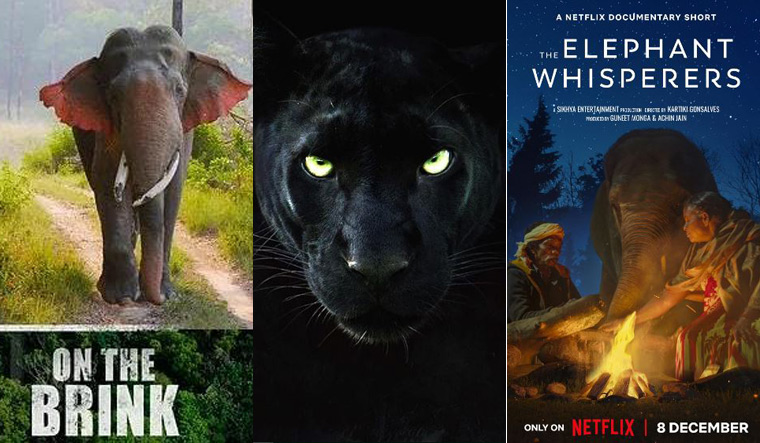 Indian wildlife documentaries to watch- The Week