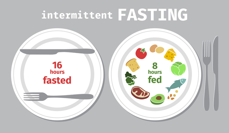 Time-restricted fasting observed to impact egg and sperm quality- The Week
