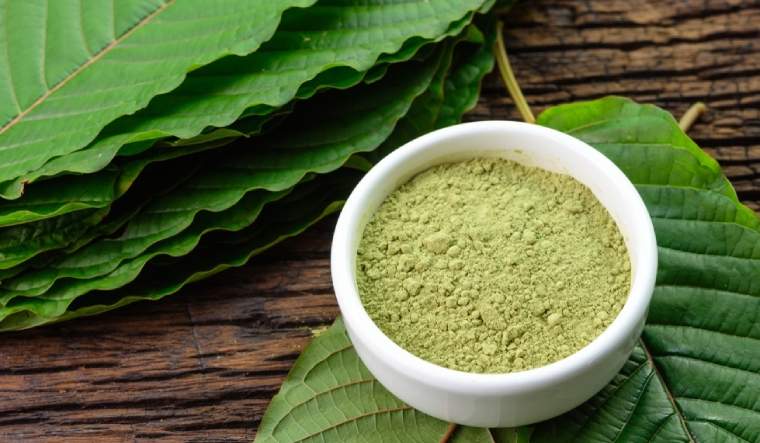 What is kratom: Nutrition facts, uses and side-effects- The Week