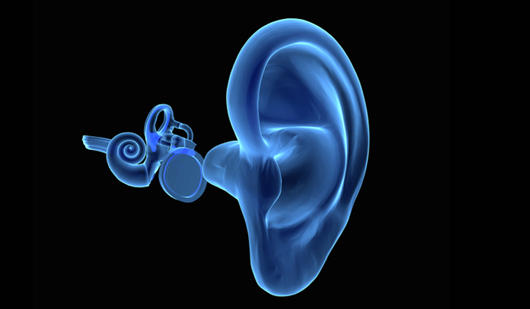 New process that repairs damaged hearing cells discovered- The Week