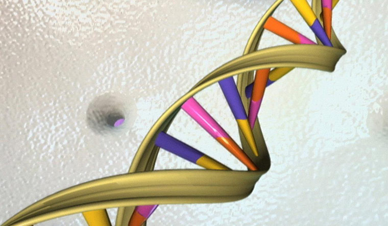 DNA technology bill raises serious concerns over right to privacy- The Week