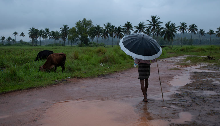 Rain warning issued for 11 districts in Kerala- The Week