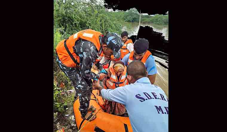Flood fury in MP: 23,000 houses, crops on over 21,000 hectares damaged ...