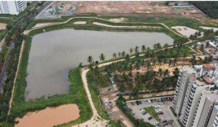This was how Bengaluru’s Maragondanahalli lake was ecologically ...