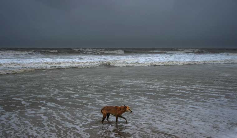 Cyclone Biparjoy 170 kms away from Jakhau Port; IMD sounds red alert ...