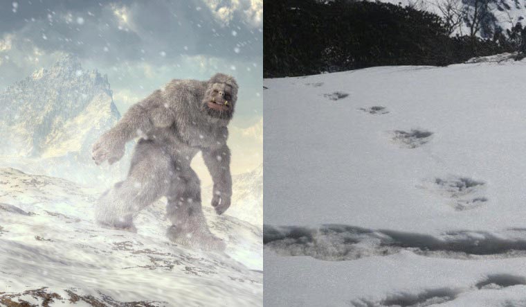 Indian Army finds Yeti footprints in Nepal? Tweet sparks buzz- The Week