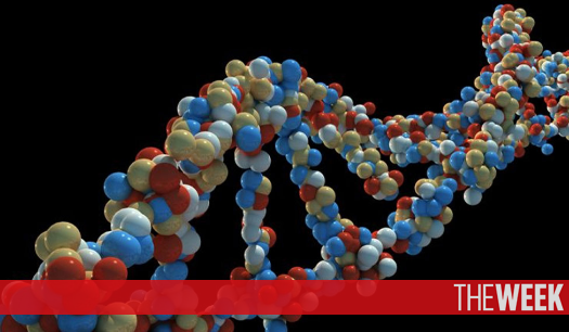 China to build massive DNA database platform