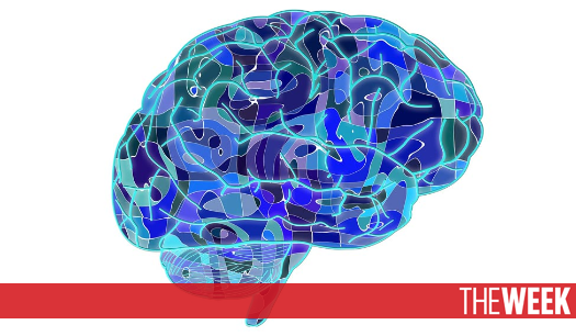 Researchers develop new scale to measure wisdom