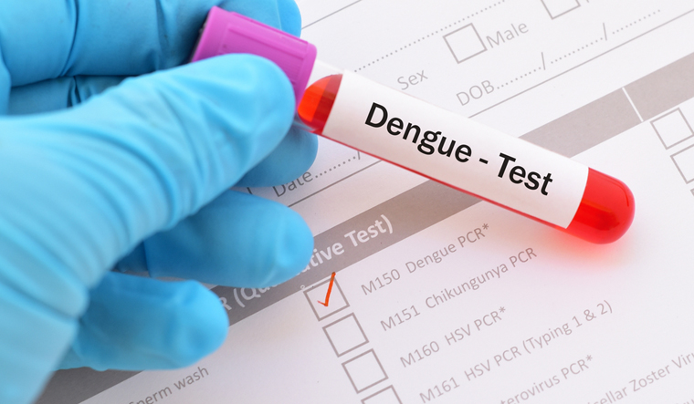 Dengue vaccination in India from next year: ICMR- The Week