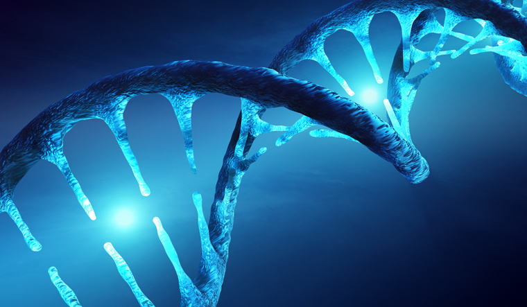 Ancient DNA of 14th-century Ashkenazi Jews already included genetic ...