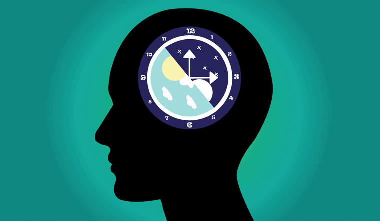 Time of day linked to decrease in activity in specific brain regions ...