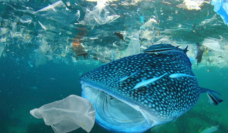 Experts call for global strategy to monitor effect of airborne plastic ...