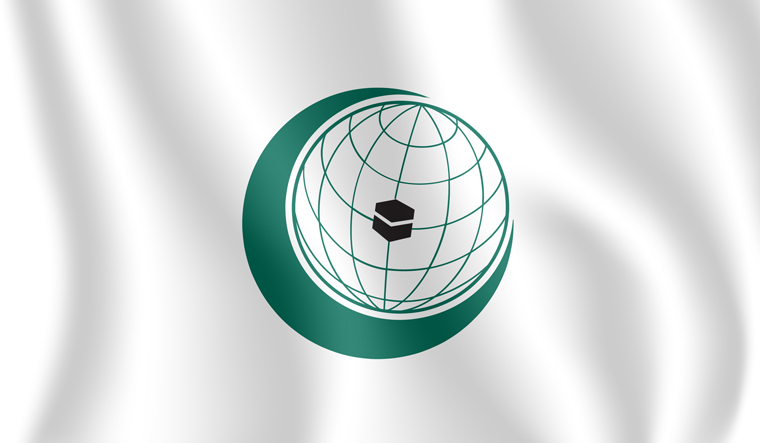 OIC urges India to take 'urgent steps' to protect rights of Muslims ...