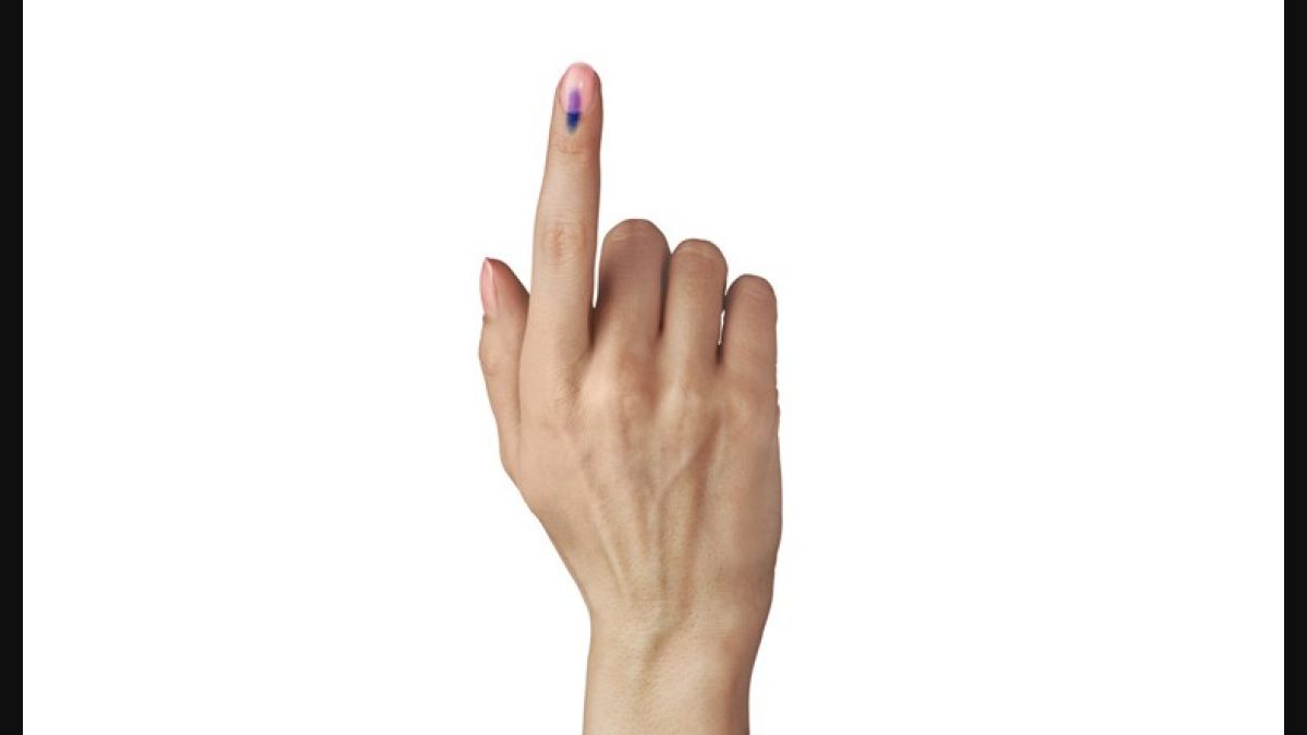 Voting Ink On Hand