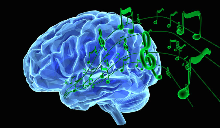Researchers unriddle the puzzle of musical synchronisation in human ...