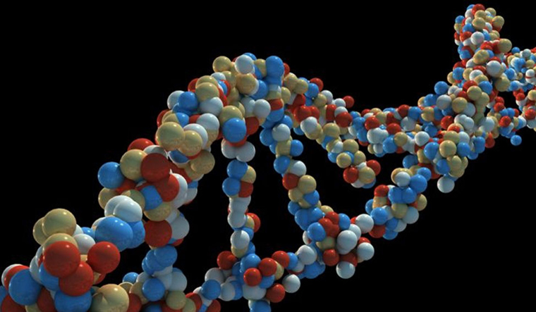 Ancient DNA reveals origins of Southeast Asia's prehistory- The Week