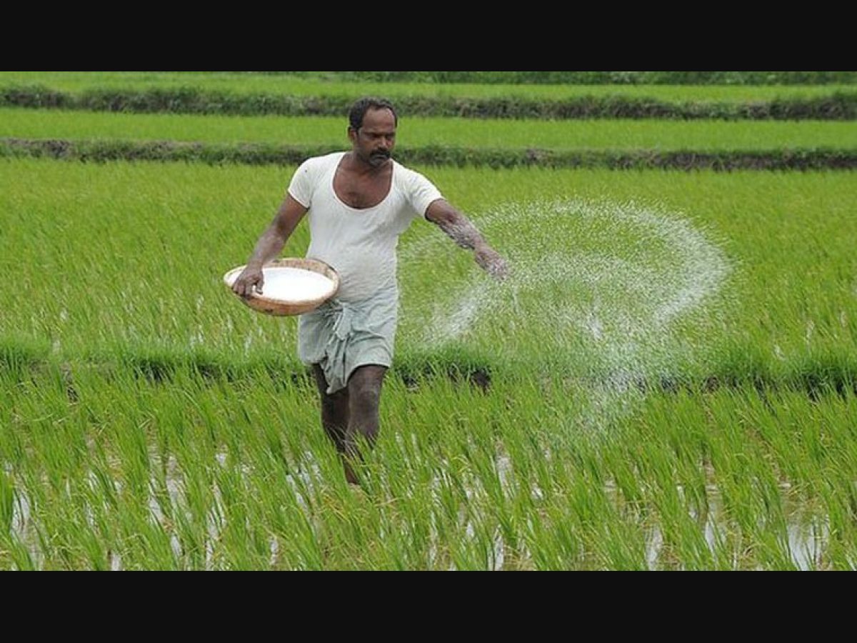 Intensive Farming Pesticides