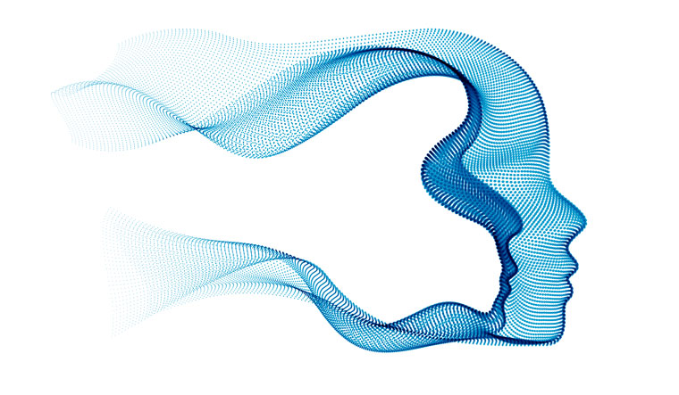 Human face evolved over time because of our need for social skills- The ...