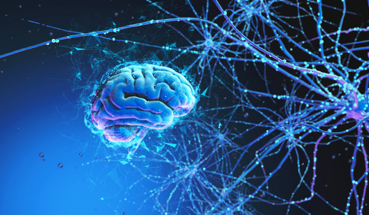 Hidden brain: New ways to peer much deeper into neural activities- The Week